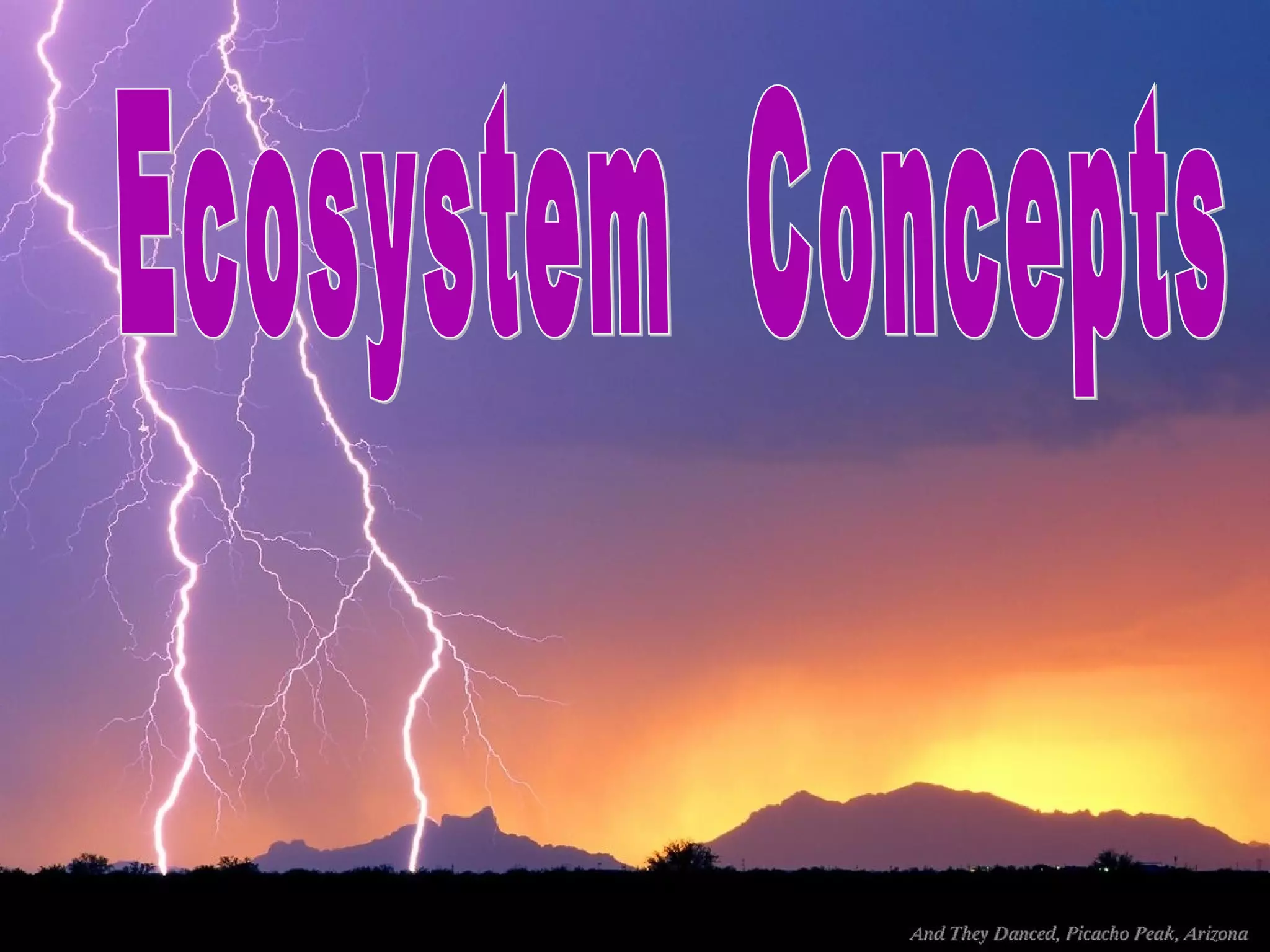 Ecosystem Concepts | PPT