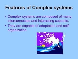 Ecosystem Concepts | PPT