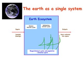 Ecosystem Concepts | PPT