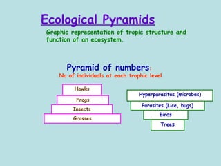 Ecosystem Concepts | PPT