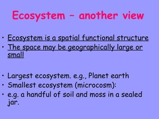 Ecosystem Concepts | PPT