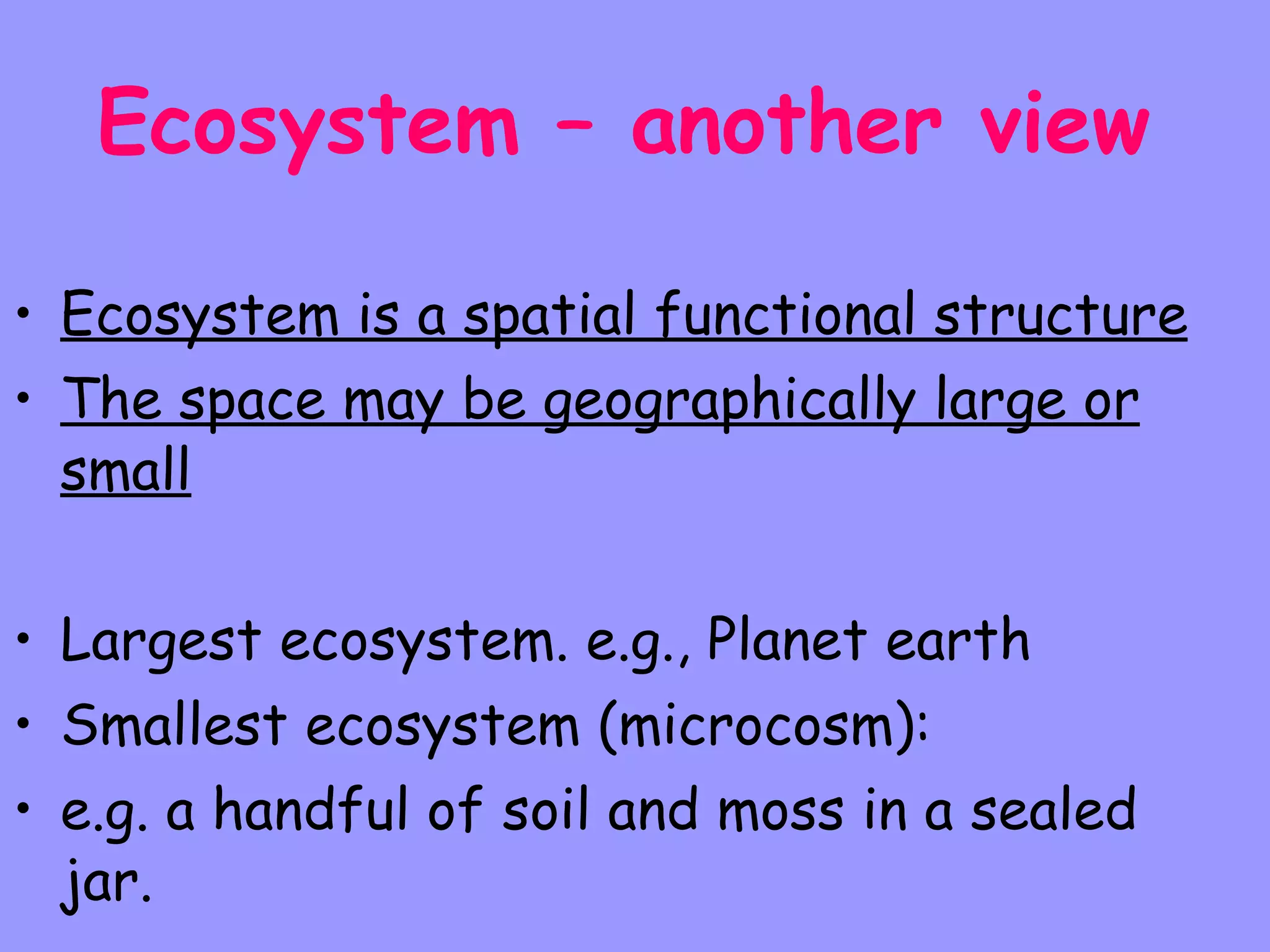 Ecosystem Concepts | PPT | Geography | Science