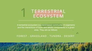 ECOSYSTEM DIVERSITY.pptxfghyfhkdrxtgrfhb | PPTX