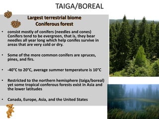 Ecosystem diversity lecture notes | PDF