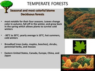 Ecosystem diversity lecture notes | PDF