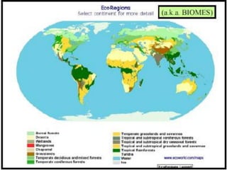 Ecosystem diversity lecture notes | PDF