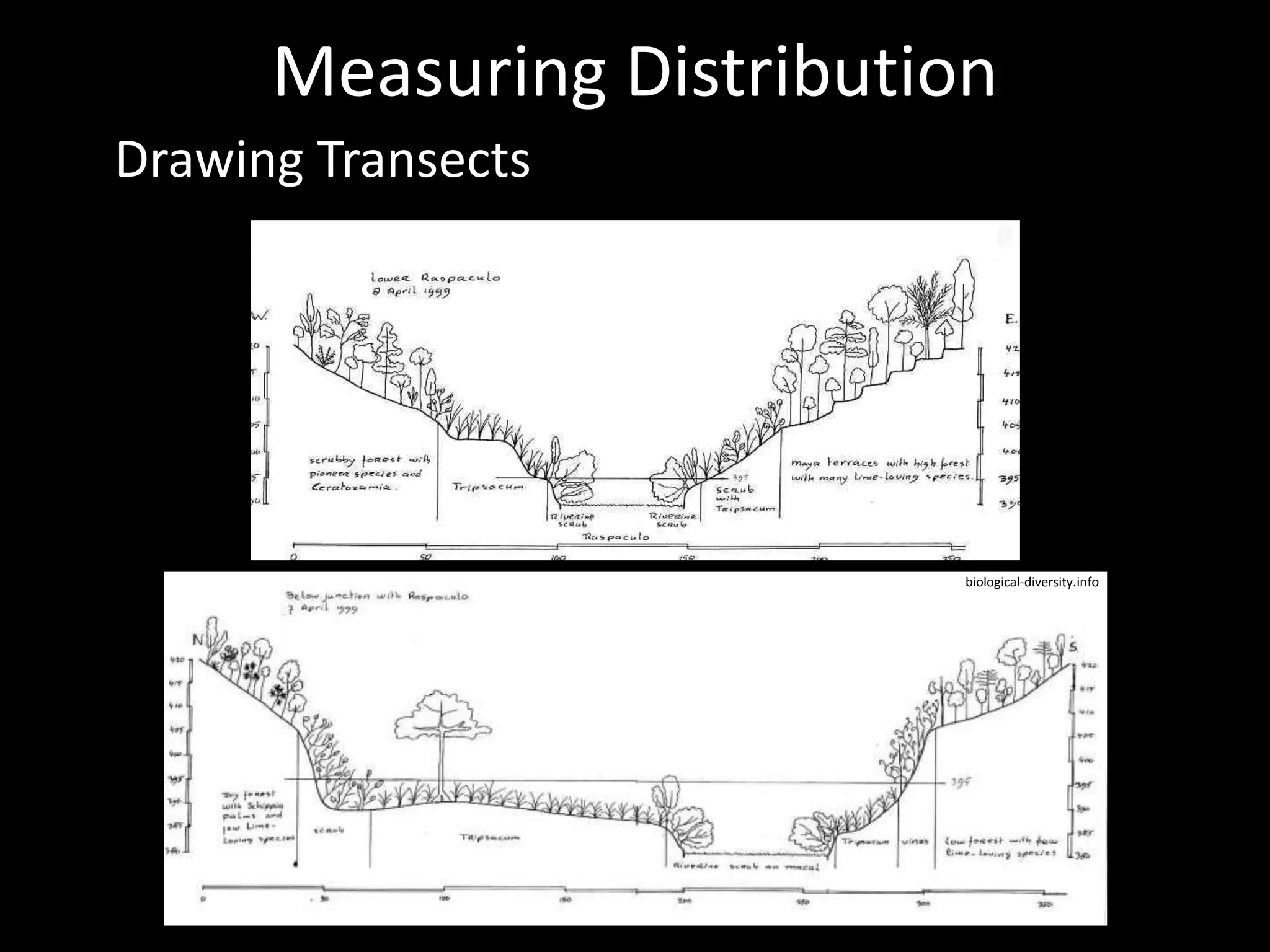 Ecosystem Dynamics | PPTX