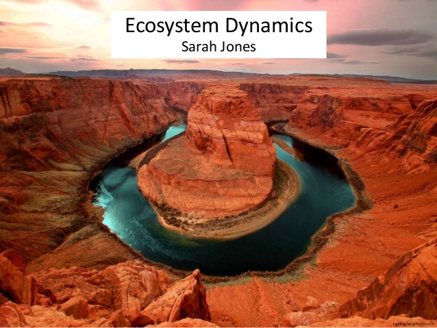 Ecosystem Dynamics