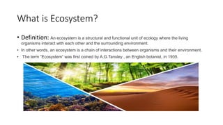 Ecosystem & Ecology for Basic Sciences EVS syllabus | PPT