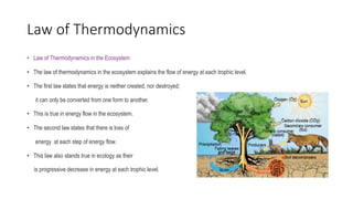 Ecosystem & Ecology for Basic Sciences EVS syllabus | PPT