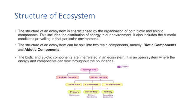 Ecosystem & Ecology for Basic Sciences EVS syllabus | PPT