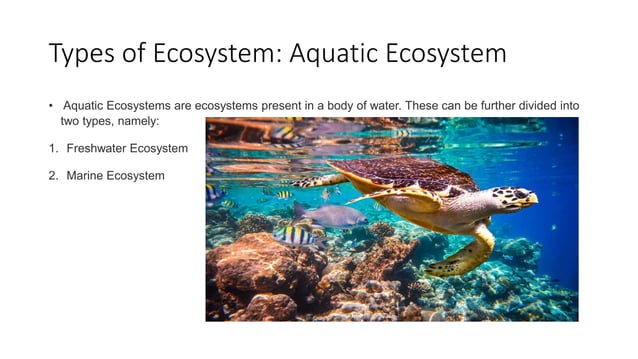 Ecosystem & Ecology for Basic Sciences EVS syllabus | PPT