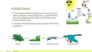 Ecosystem ecology | PPTX