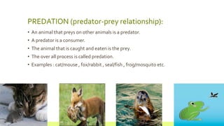 Ecosystem ecology | PPTX