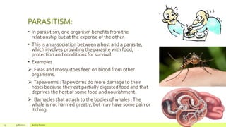 Ecosystem ecology | PPTX