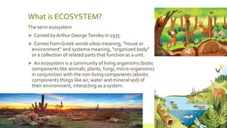 Ecosystem ecology | PPTX