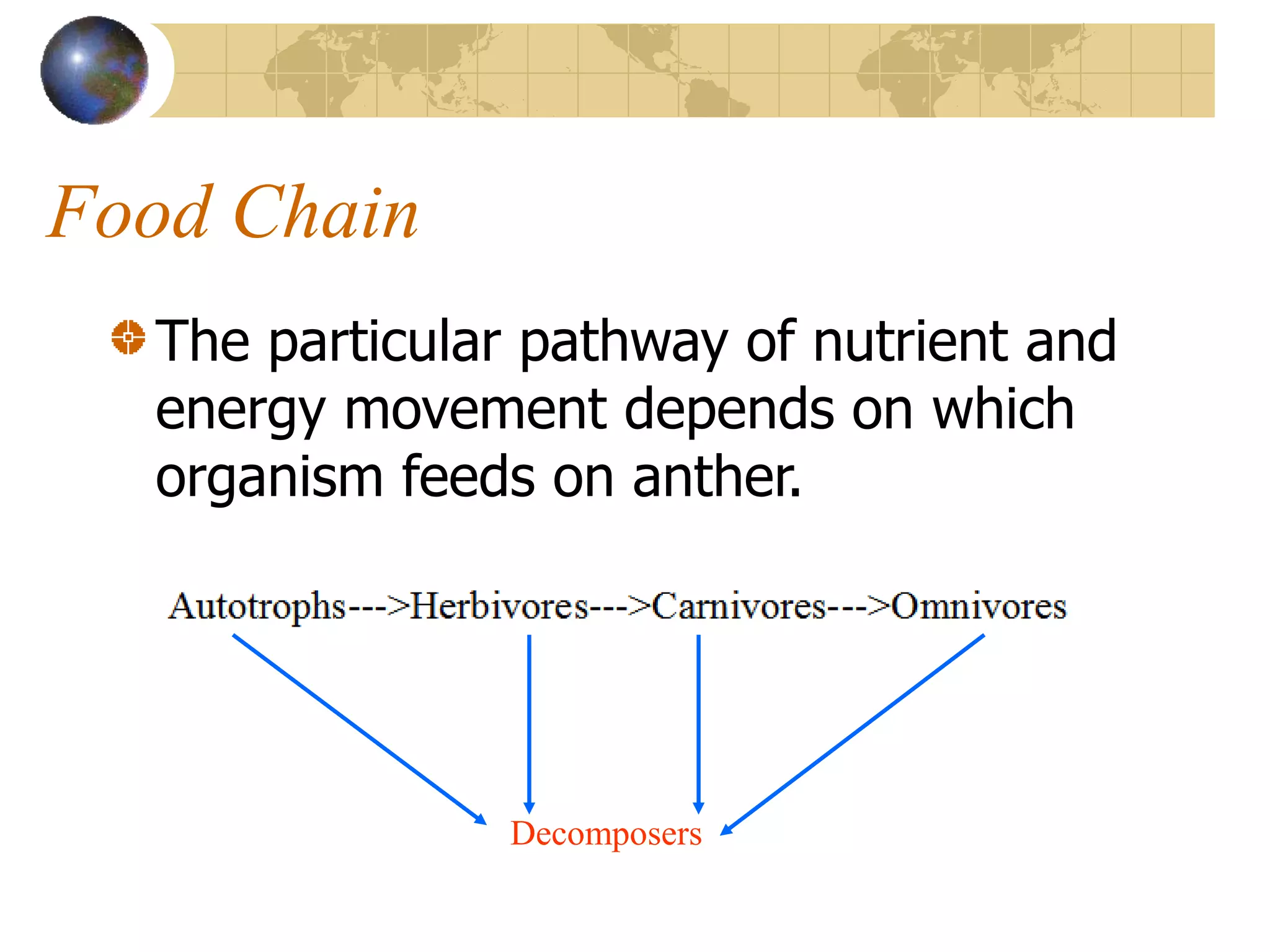 Ecosystem ecology of environment | PPT