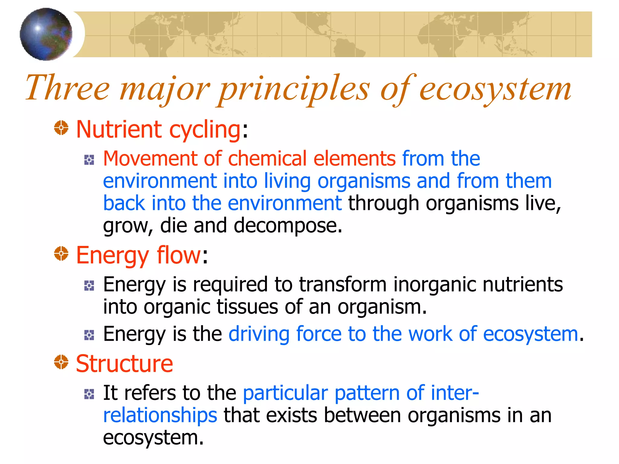 Ecosystem ecology of environment | PPT