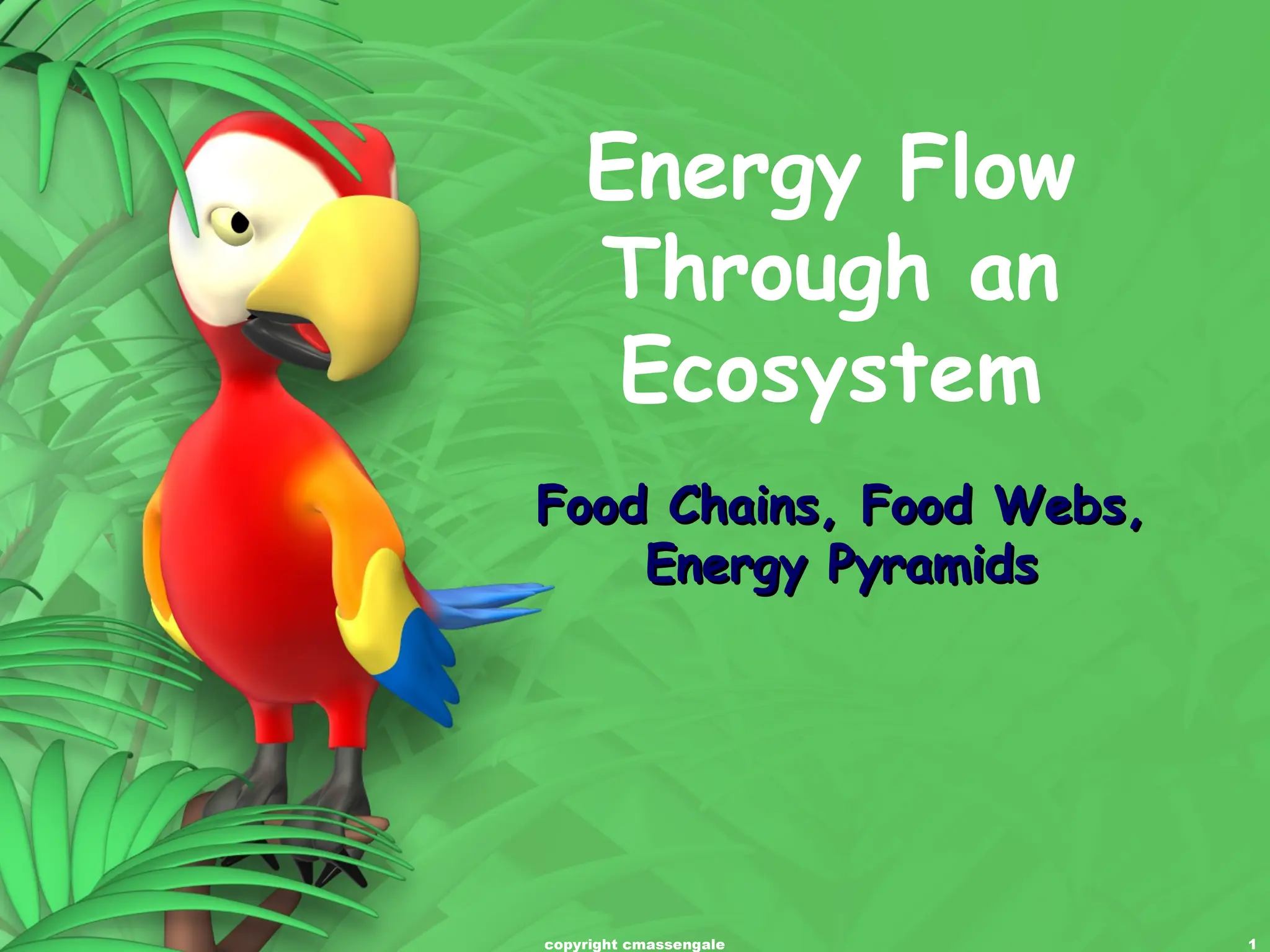 Ecosystem Energy Flow Slideshow Presentation | PPT | Chemistry | Science