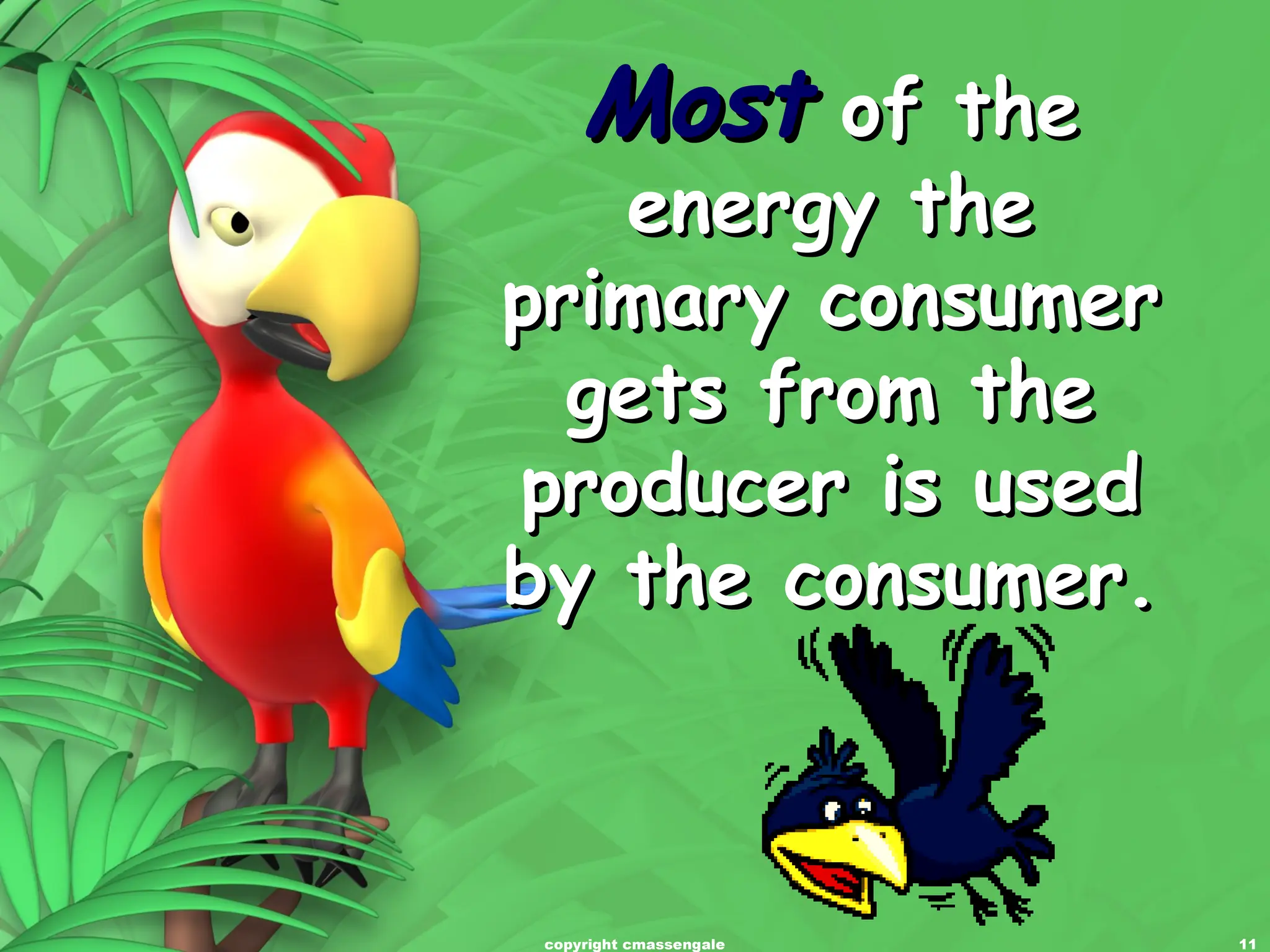 Ecosystem Energy Flow Slideshow Presentation | PPT | Chemistry | Science