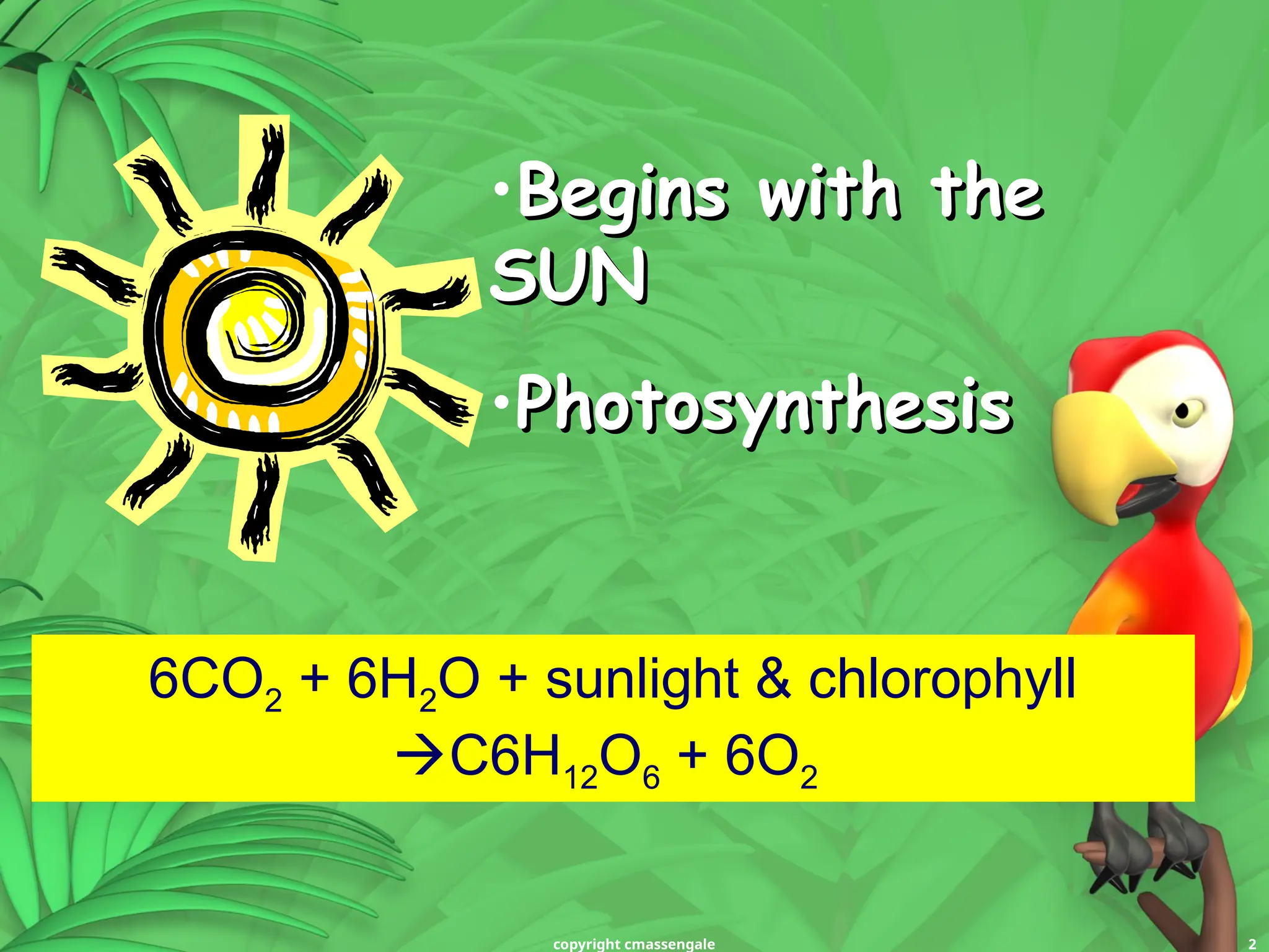 Ecosystem Energy Flow Slideshow Presentation | PPT | Chemistry | Science
