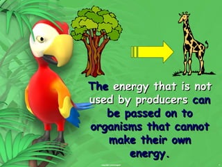 Ecosystem Energy Flow Powerpoint Presentation | PPT