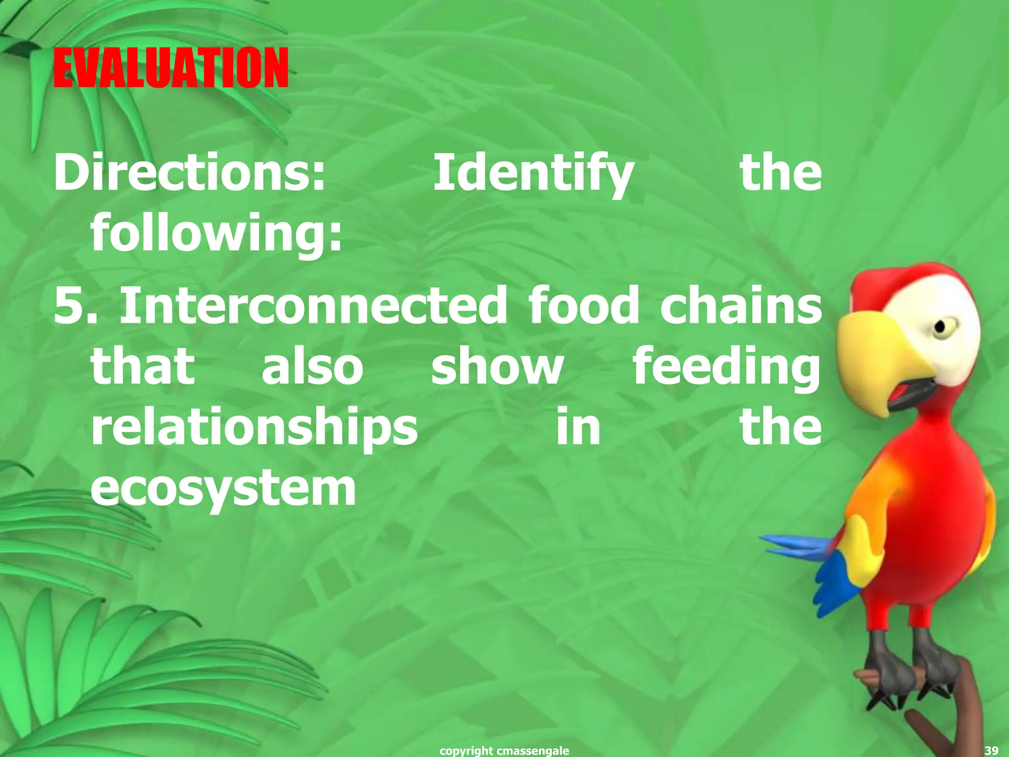 EcosystemEnergyFlow_FOOD CHAIN AND ENERGY TRANSFER.ppt