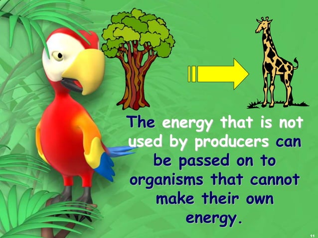 EcosystemEnergyFlow_FOOD CHAIN AND ENERGY TRANSFER.ppt