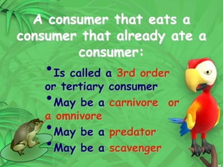 EcosystemEnergyFlow_FOOD CHAIN AND ENERGY TRANSFER.ppt