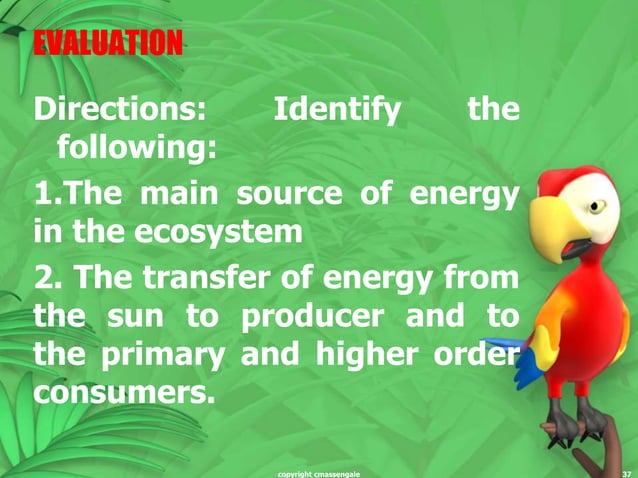 EcosystemEnergyFlow_FOOD CHAIN AND ENERGY TRANSFER.ppt