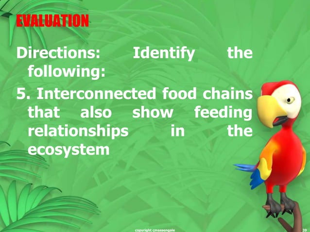 EcosystemEnergyFlow_FOOD CHAIN AND ENERGY TRANSFER.ppt