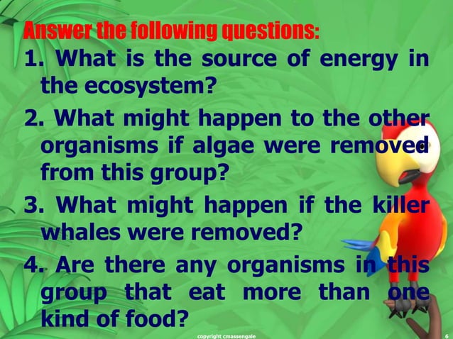 EcosystemEnergyFlow_FOOD CHAIN AND ENERGY TRANSFER.ppt