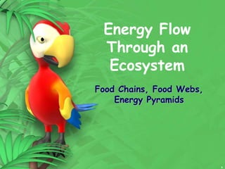 EcosystemEnergyFlow_FOOD CHAIN AND ENERGY TRANSFER.ppt
