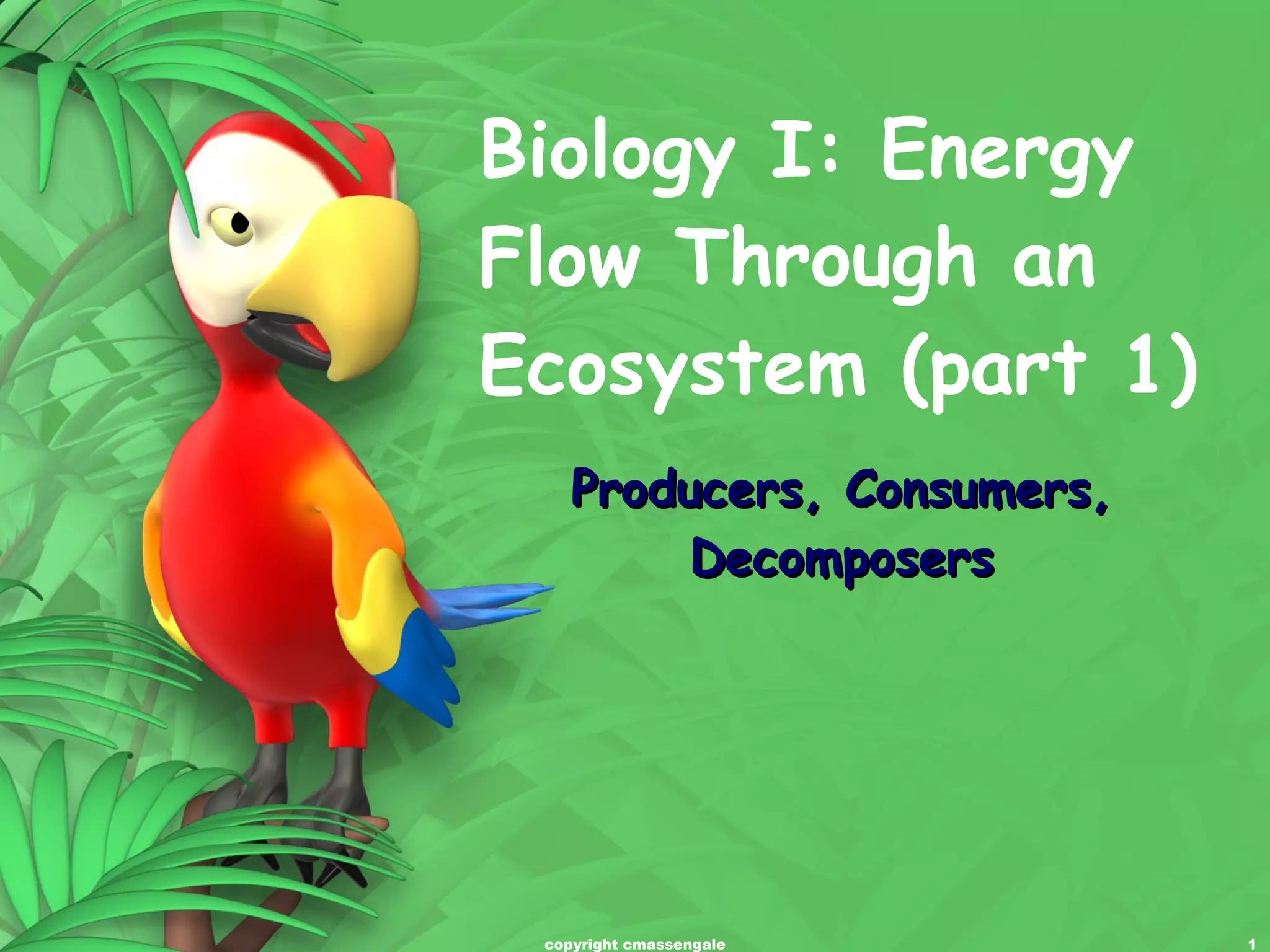 Ecosystem energy flow (part 1) | PPT
