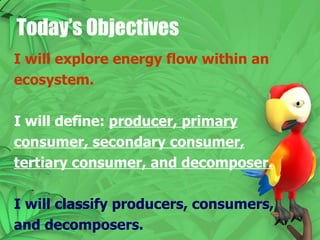 Ecosystem energy flow (part 1) | PPT