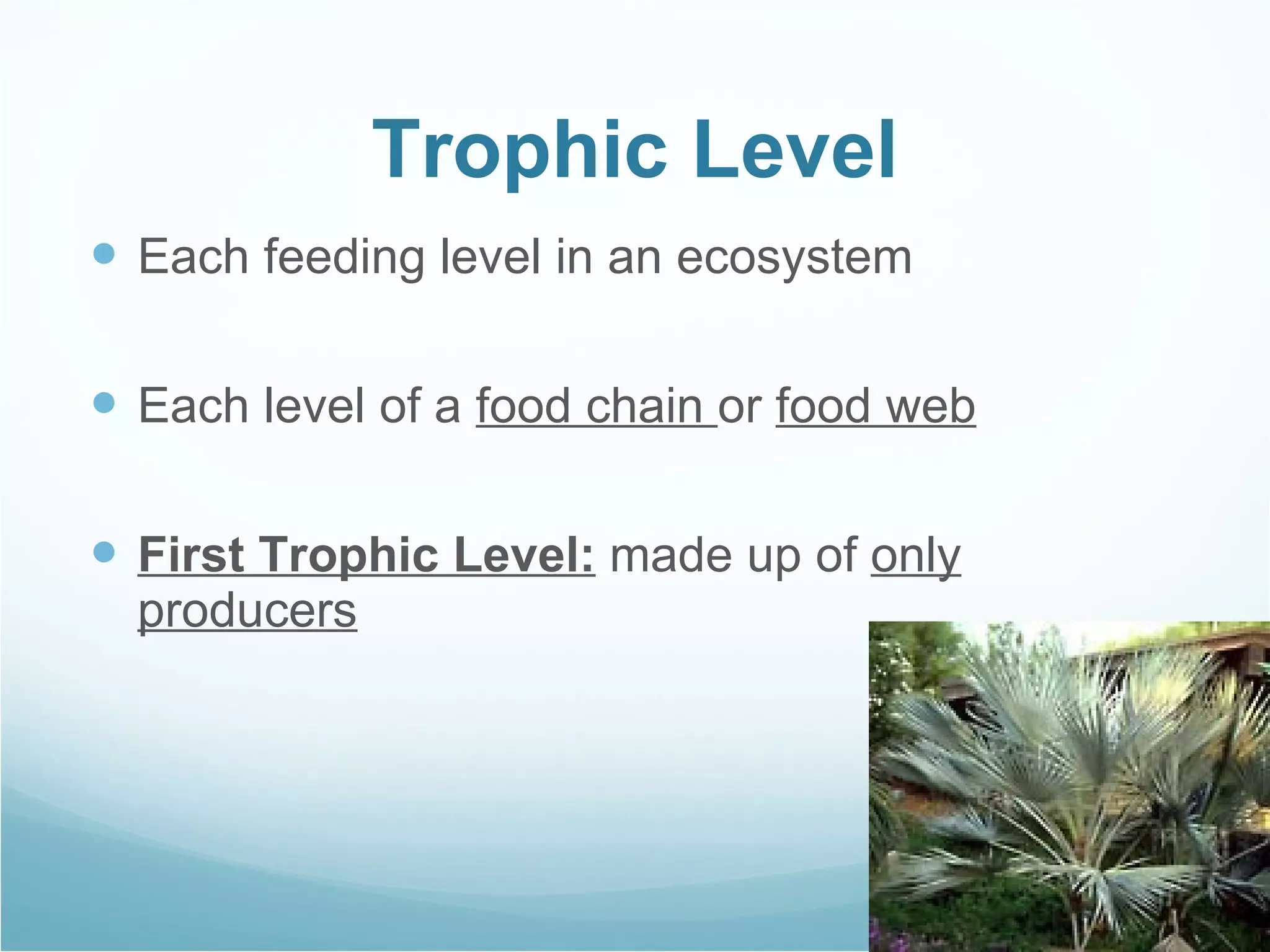 Ecosystem energy flow (part 2) | PPT | Science