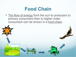 Ecosystem energy flow (part 2) | PPT | Science