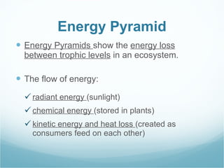 Ecosystem energy flow (part 2) | PPT | Science