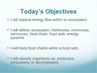 Ecosystem energy flow (part 2) | PPT