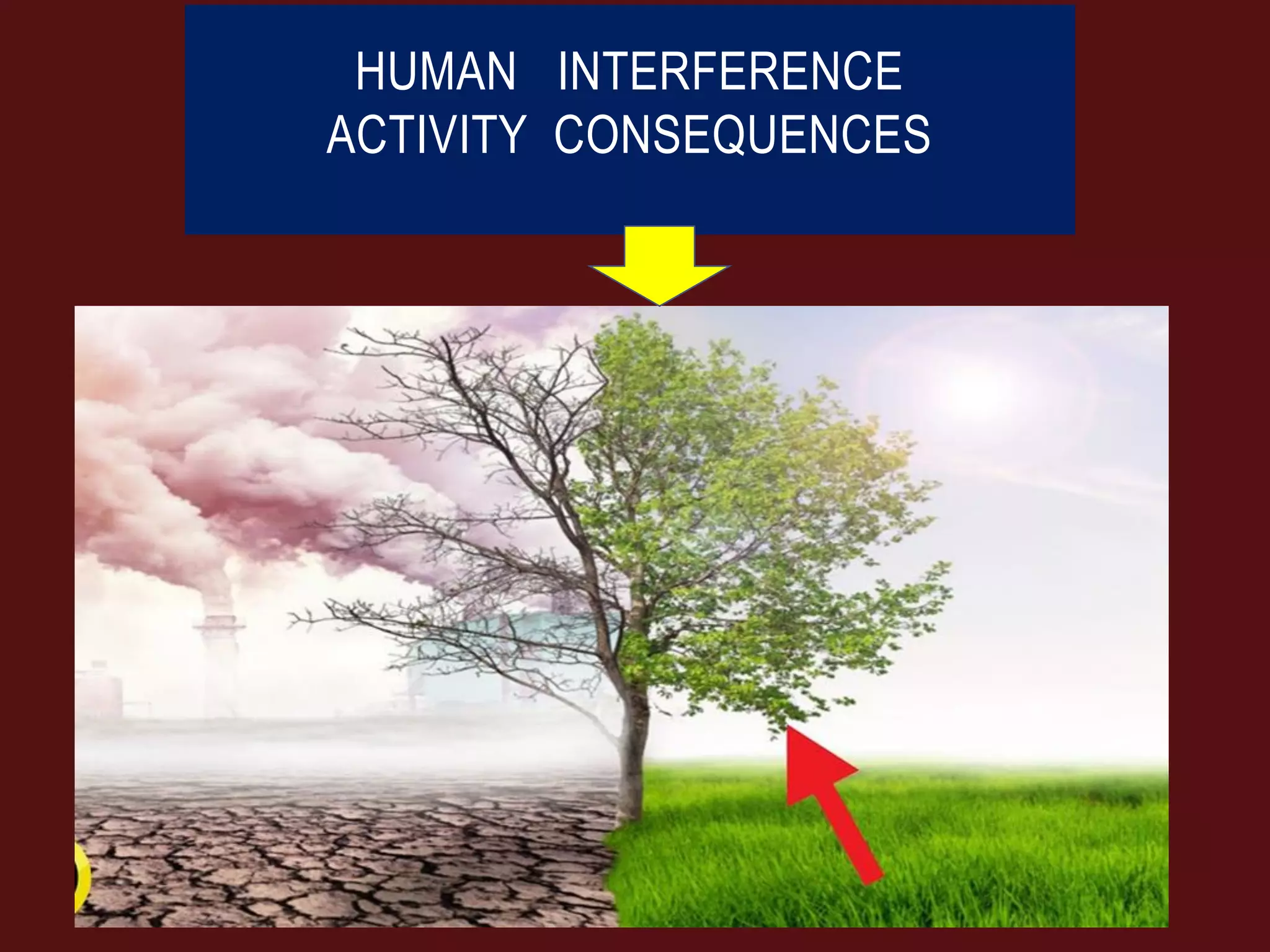 ECOSYSTEM ENVIRONMENT DEFINITIONS PROBLEMS AND ISSUES.pdf