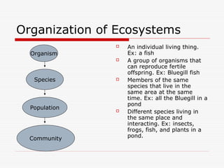 Ecology and Ecosystem Explained Simply.ppt