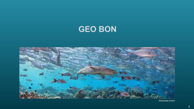 Overview of Ecosystem Extent and Integrity Slides | PDF