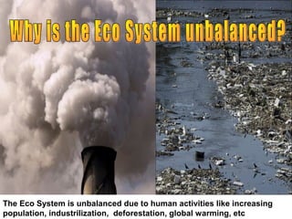 Eco System | PPT