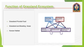 Types of Ecosystem | PPTX