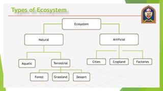 Types of Ecosystem | PPT