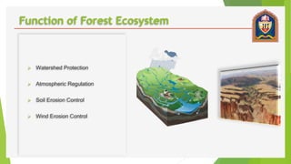 Types of Ecosystem | PPTX