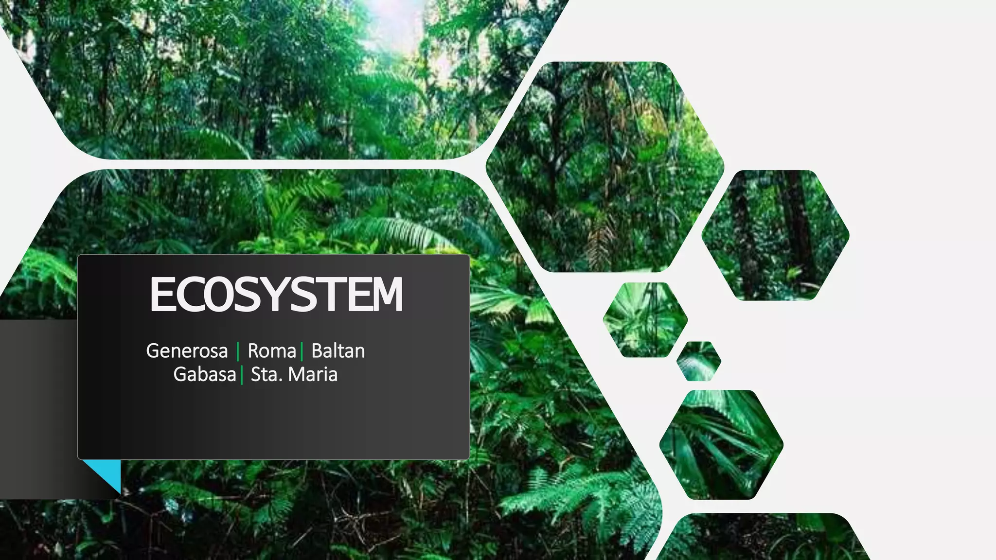 Ecosystem Powerpoint | PPT