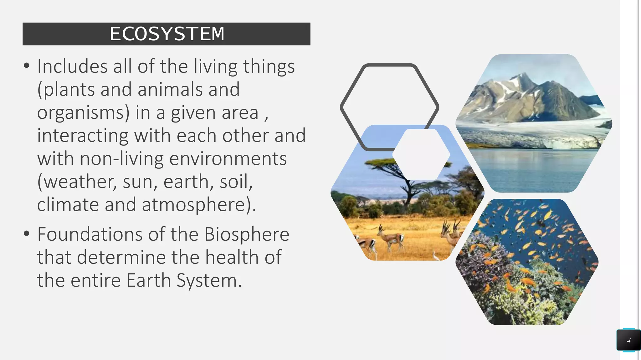 Ecosystem Powerpoint | PPT