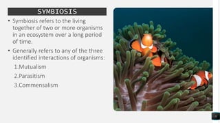 Ecosystem Powerpoint | PPT