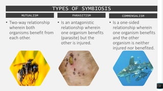 Ecosystem Powerpoint | PPT